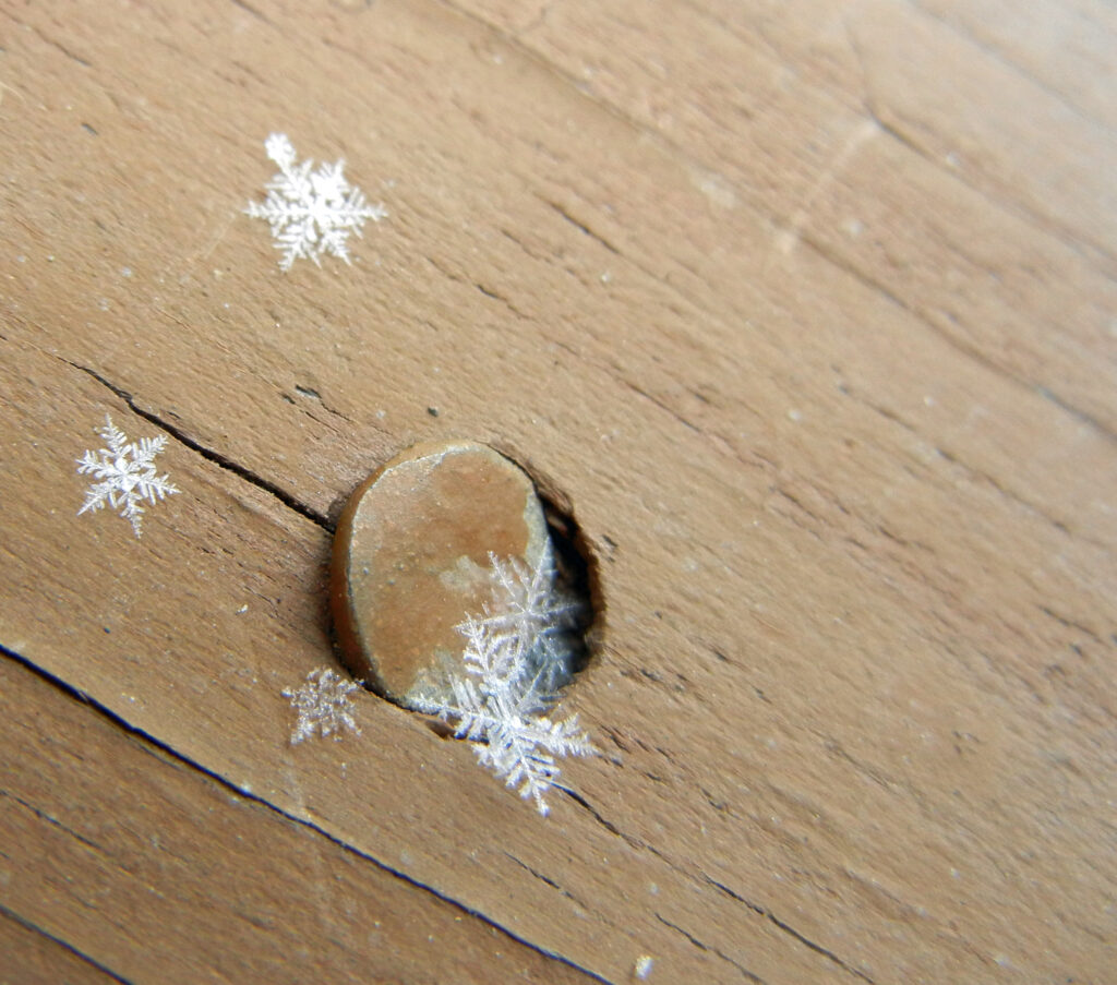 Little Flakes - Downhome Magazine