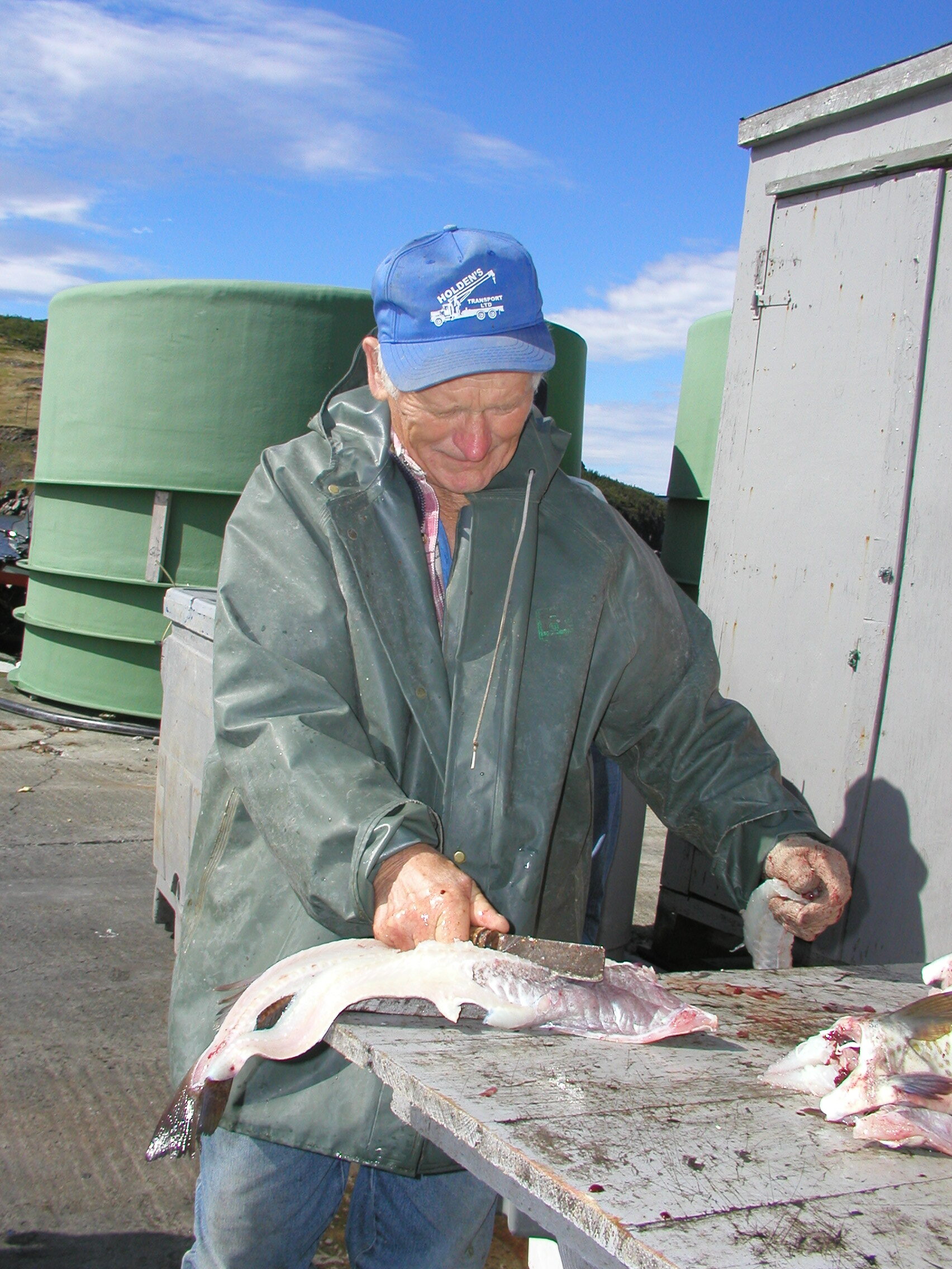 Splitting Codfish - Downhome Magazine