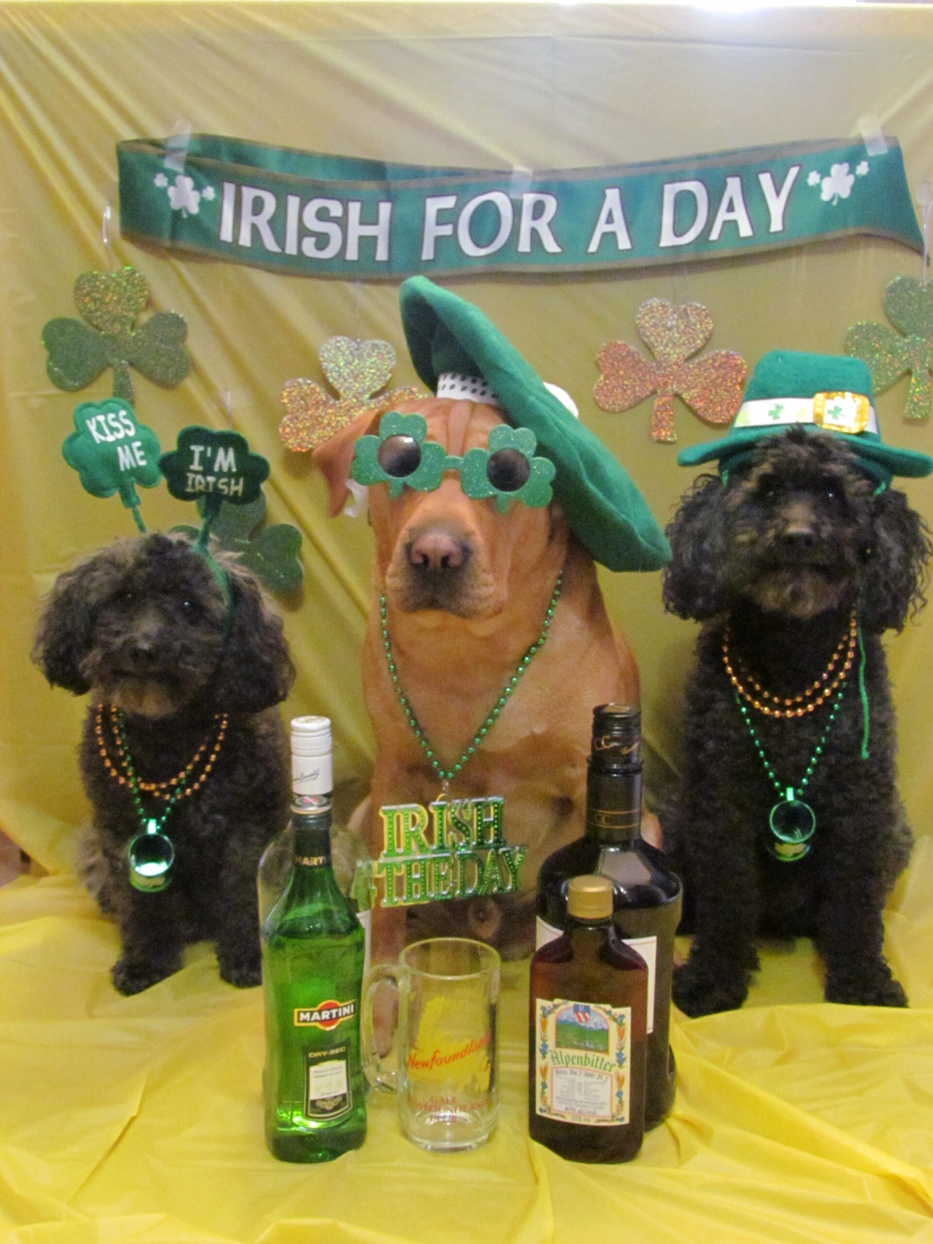 Nigel, Ralph and Frasier - Downhome Magazine