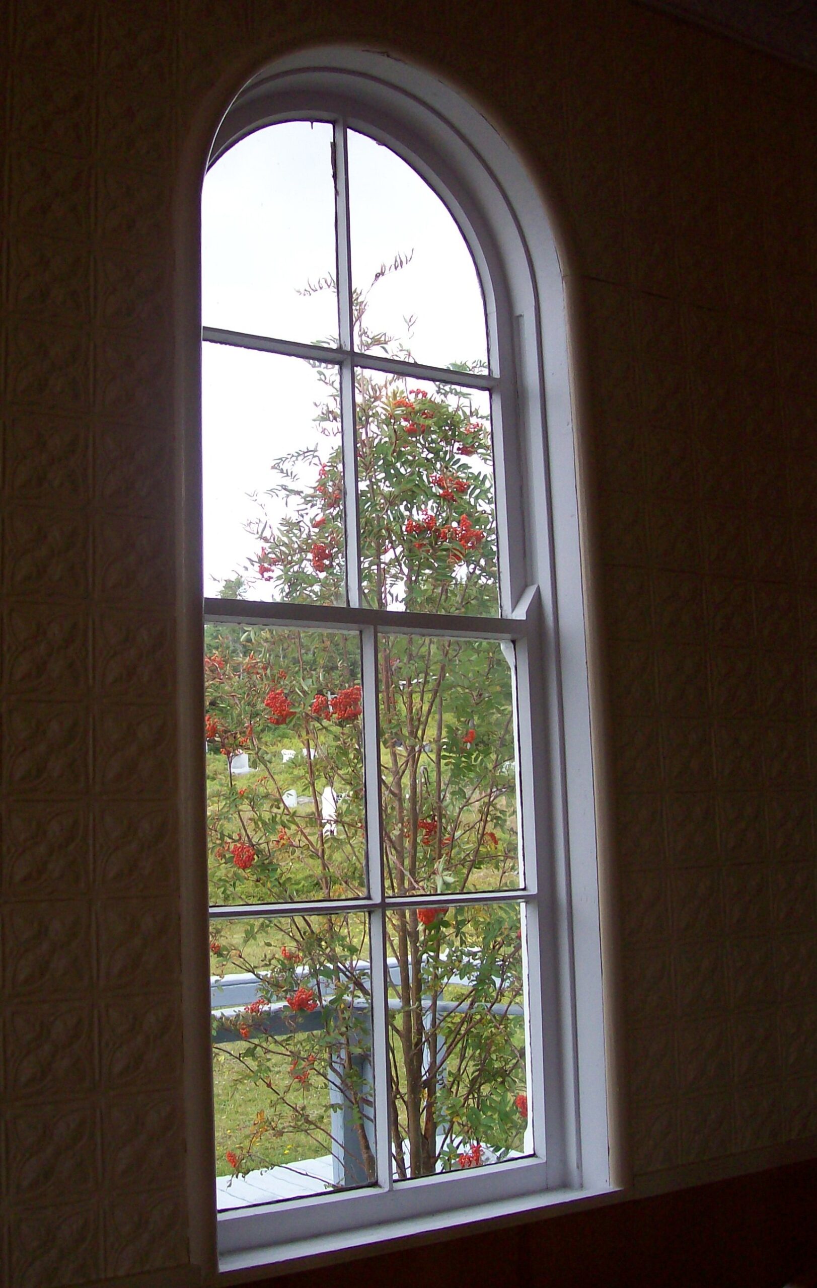 Dogberry Tree - Downhome Magazine