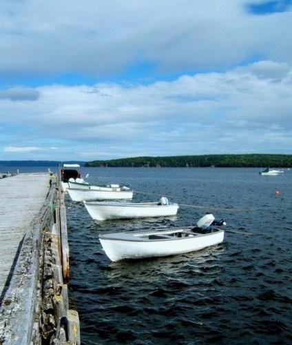 The Little Boats of Newfoundland - Downhome Magazine