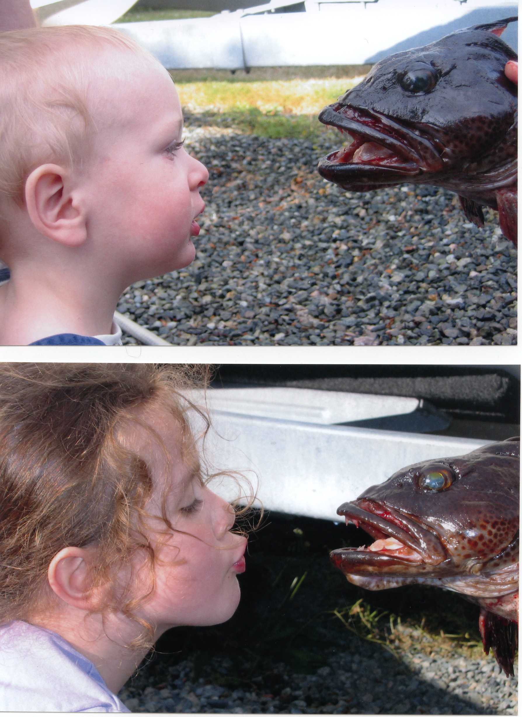 Kissin' the cod - Downhome Magazine