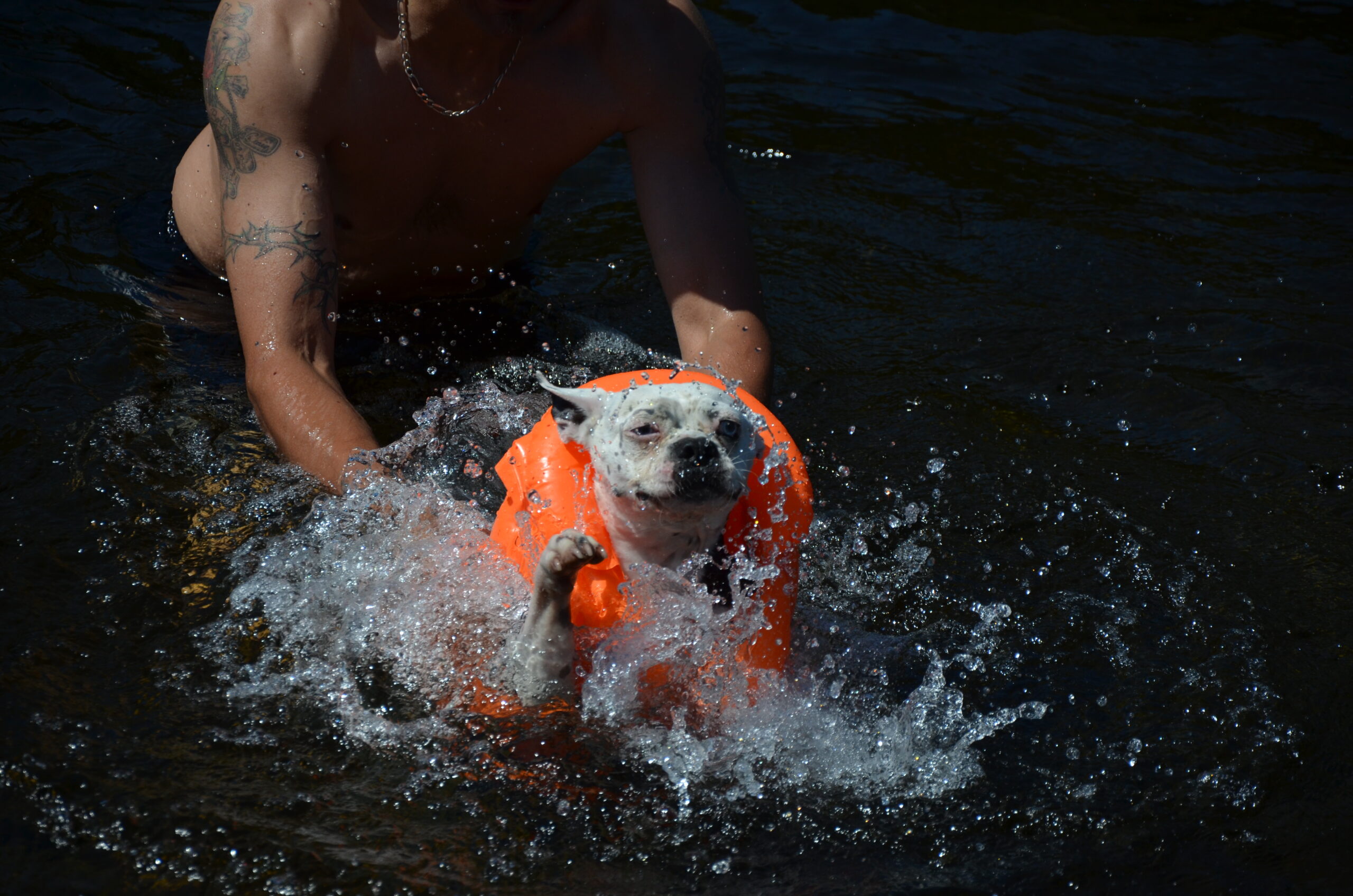 Trying to Keep Afloat - Downhome Magazine