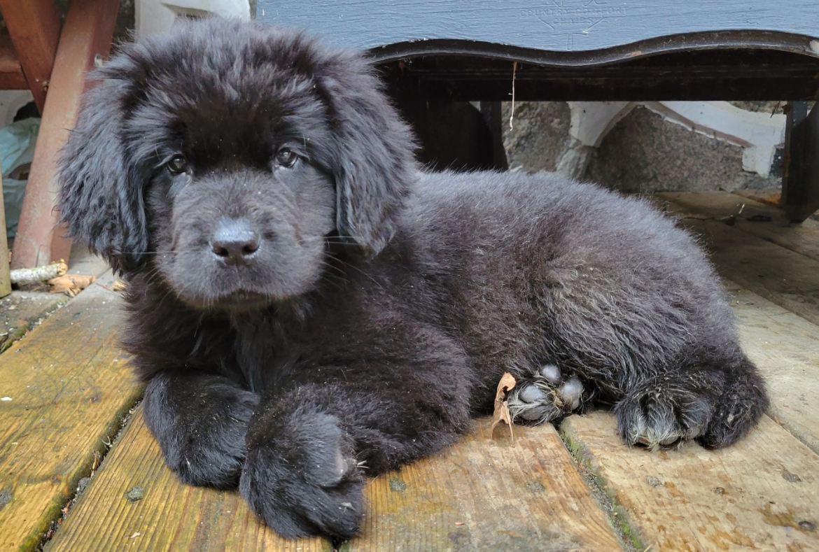 Baby Murphy - Downhome Magazine