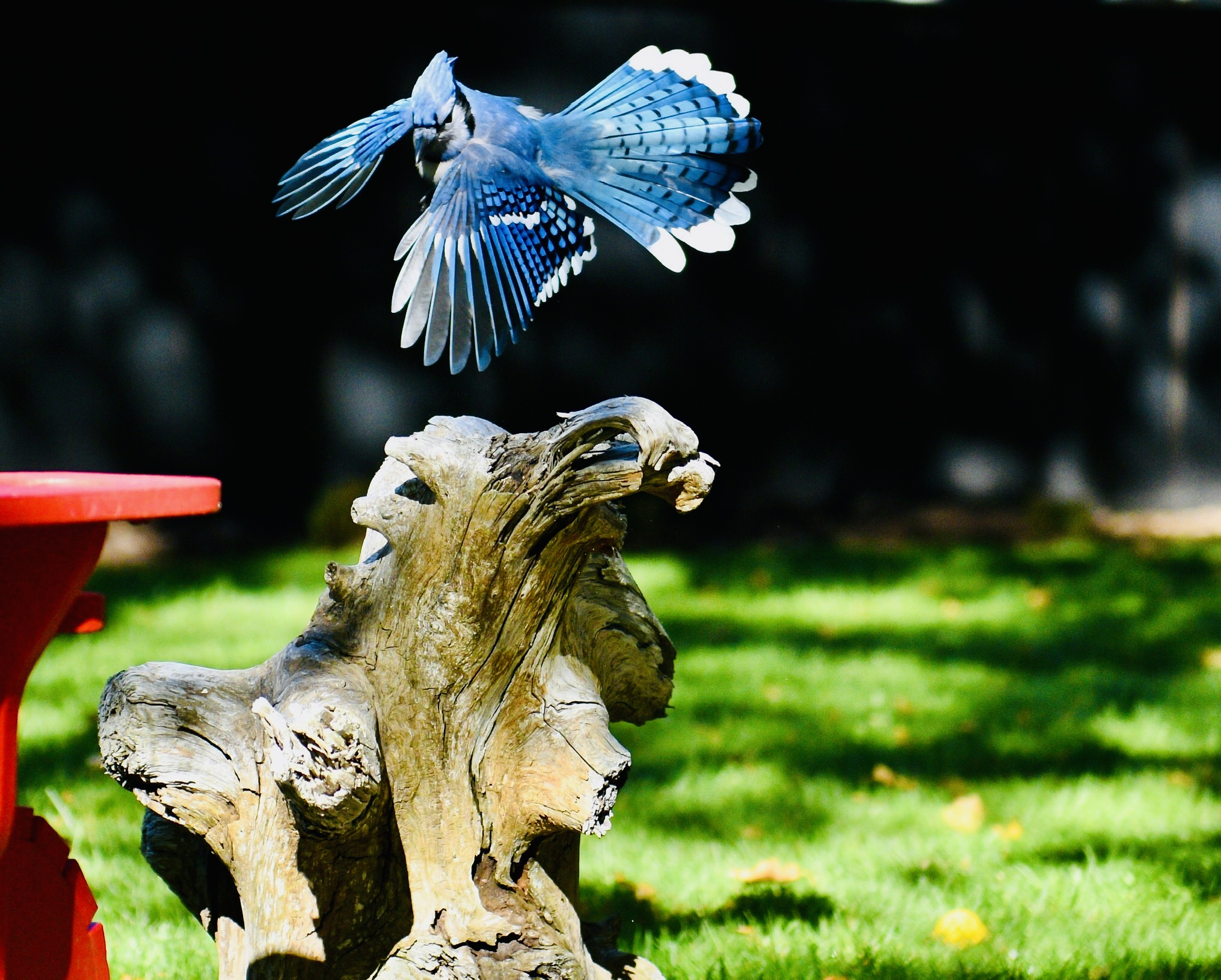 Blue Jay Landing. - Downhome Magazine