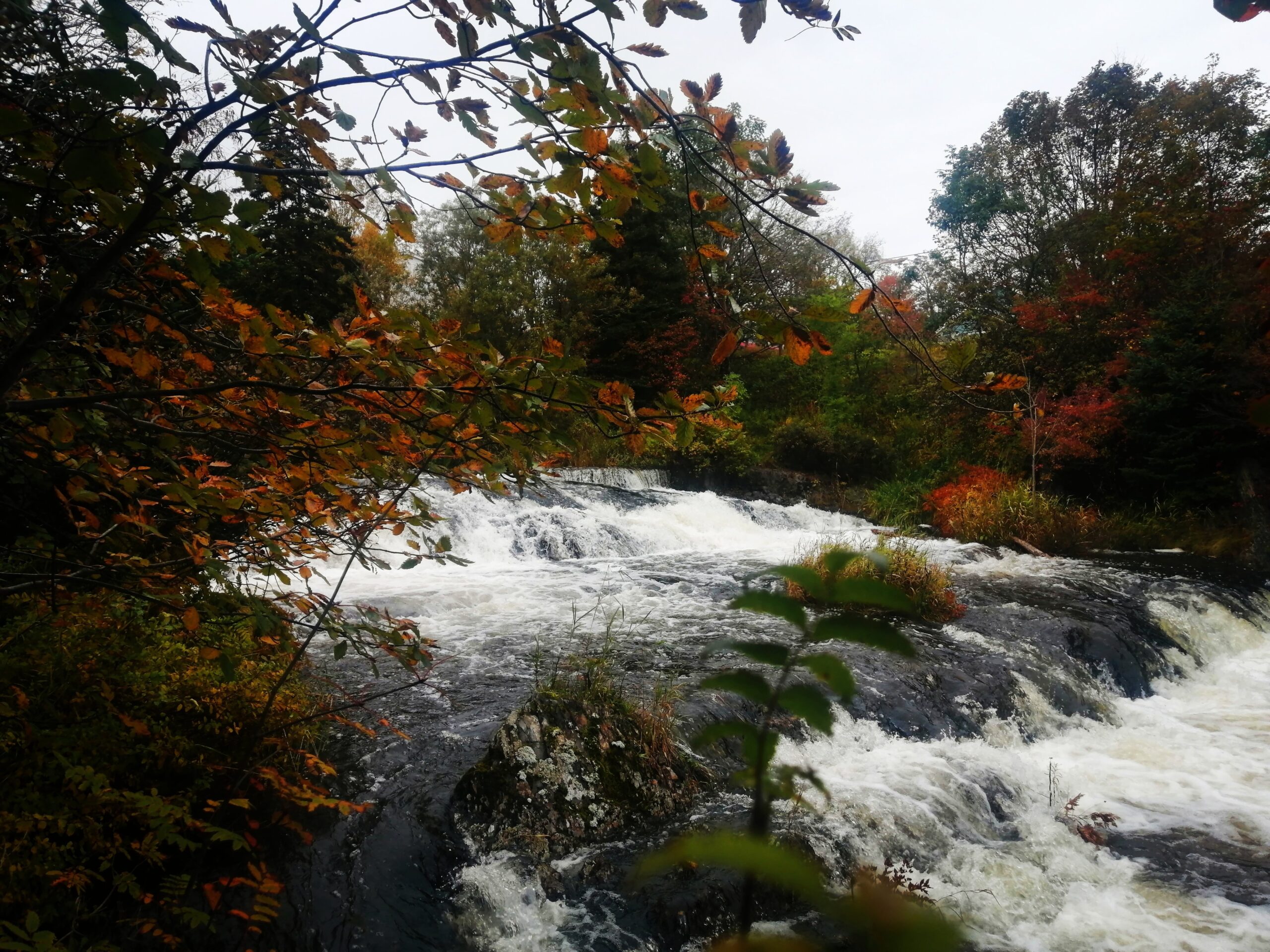 Rennies River after the rain. - Downhome Magazine