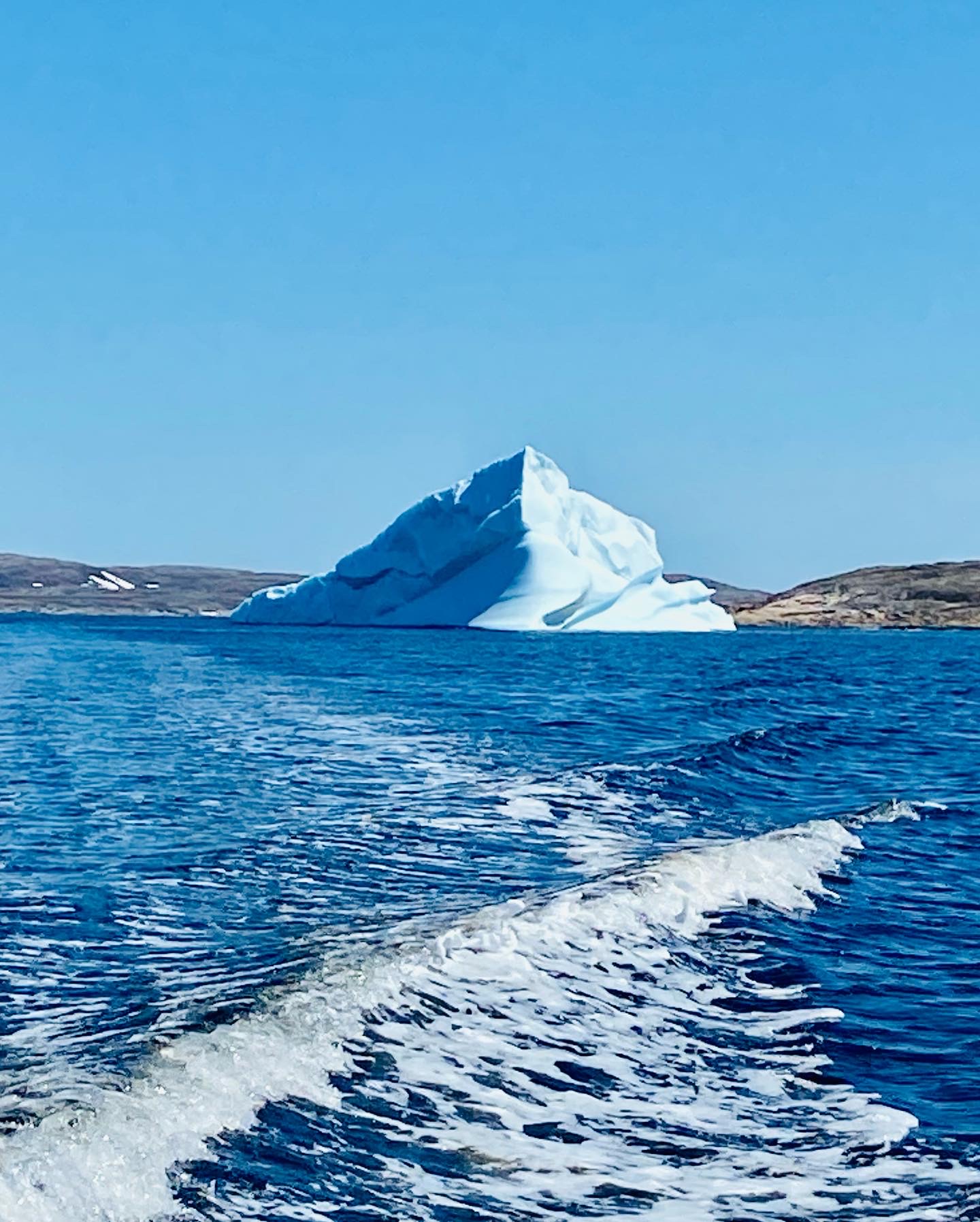 Large Labrador Ice Cube - Downhome Magazine