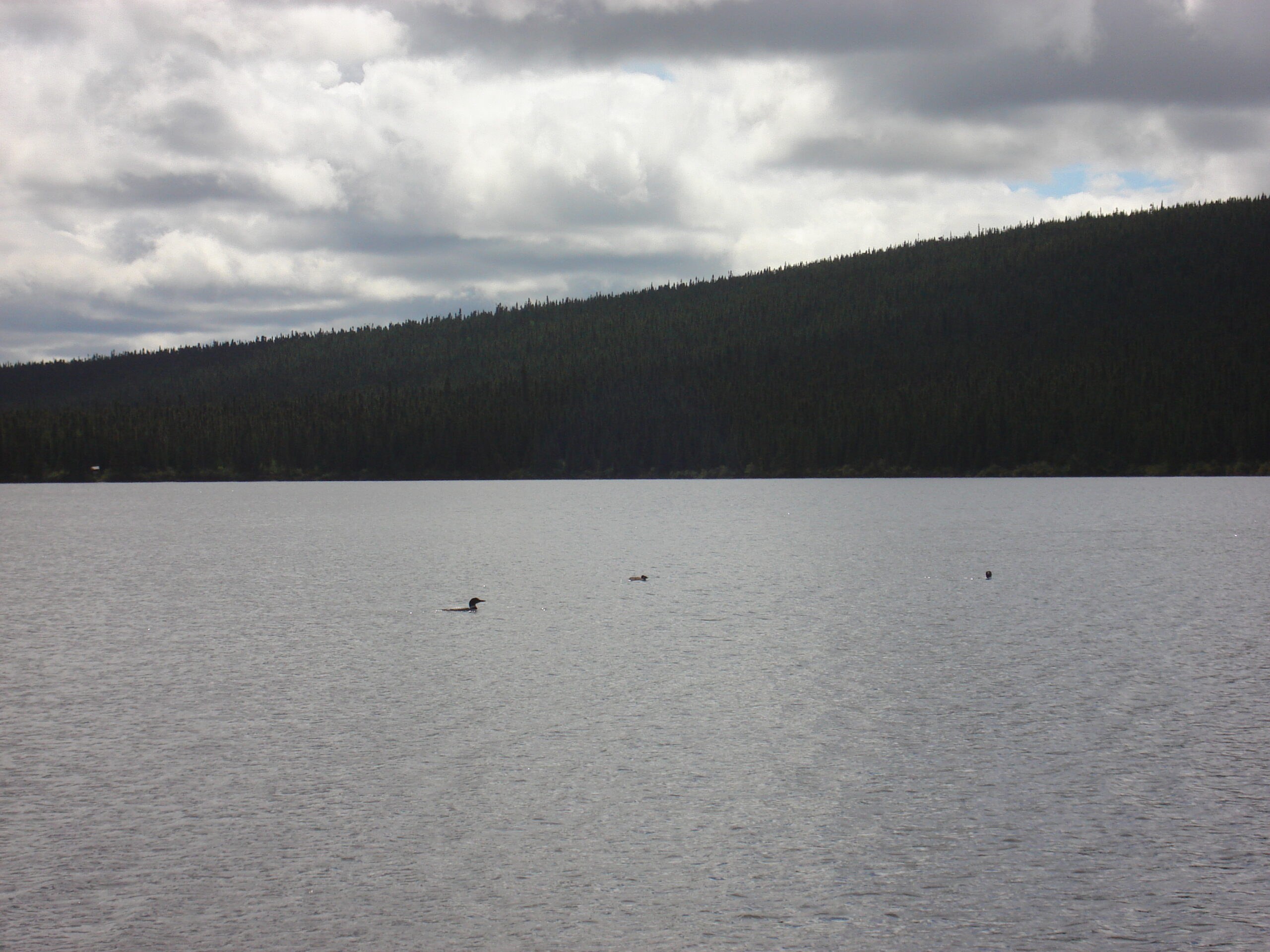 August in Labrador - Downhome Magazine