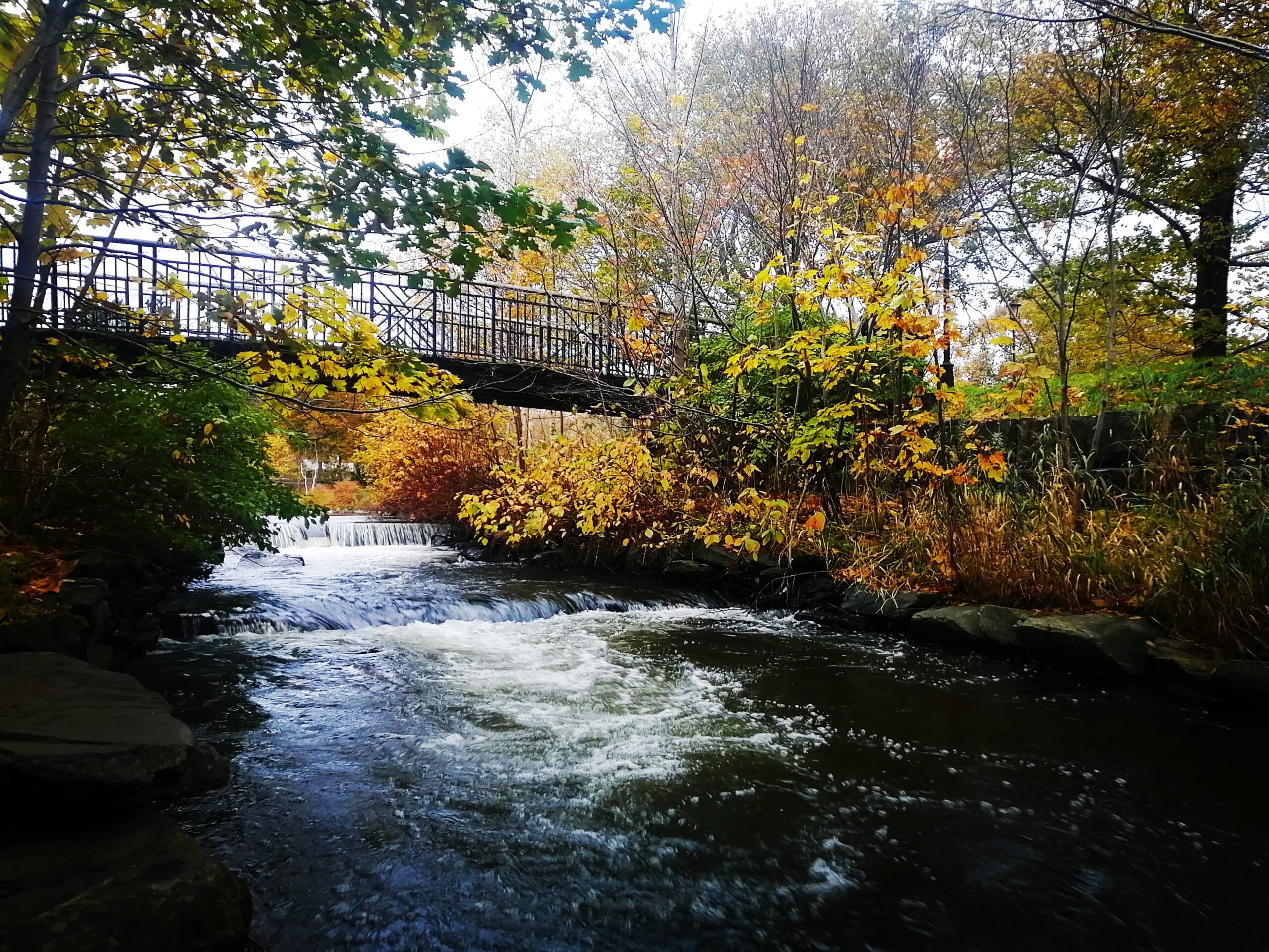 River at Bowring Park - Downhome Magazine