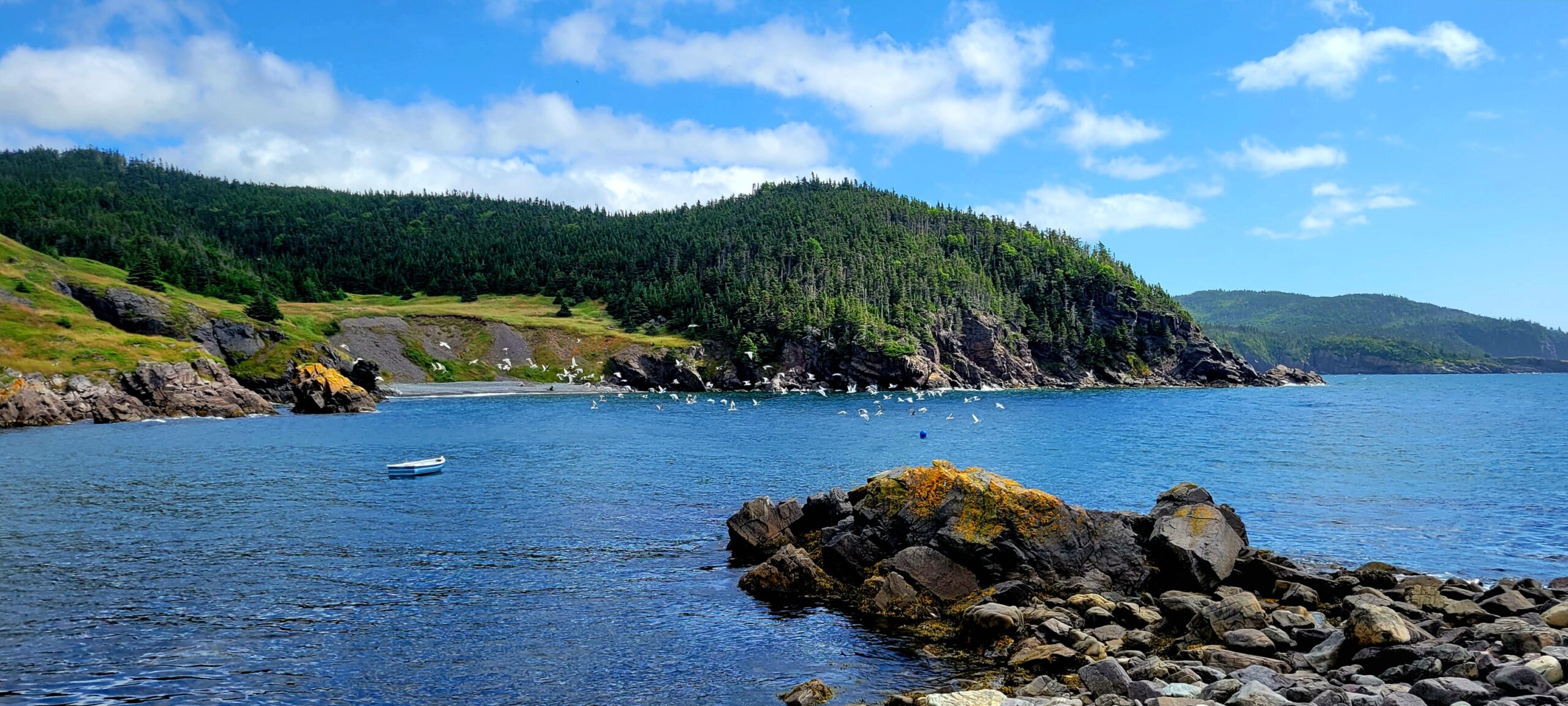 Dunfield - Downhome Magazine