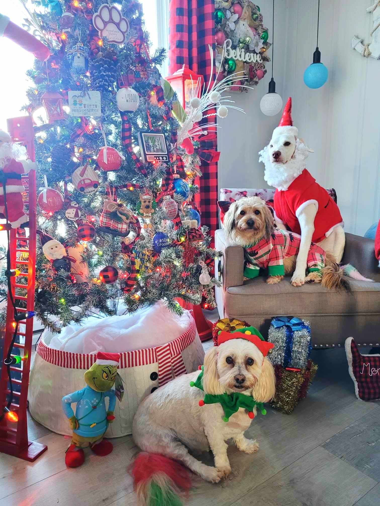 Santa Paws, the Elf & the sweetest little girl - Downhome Magazine