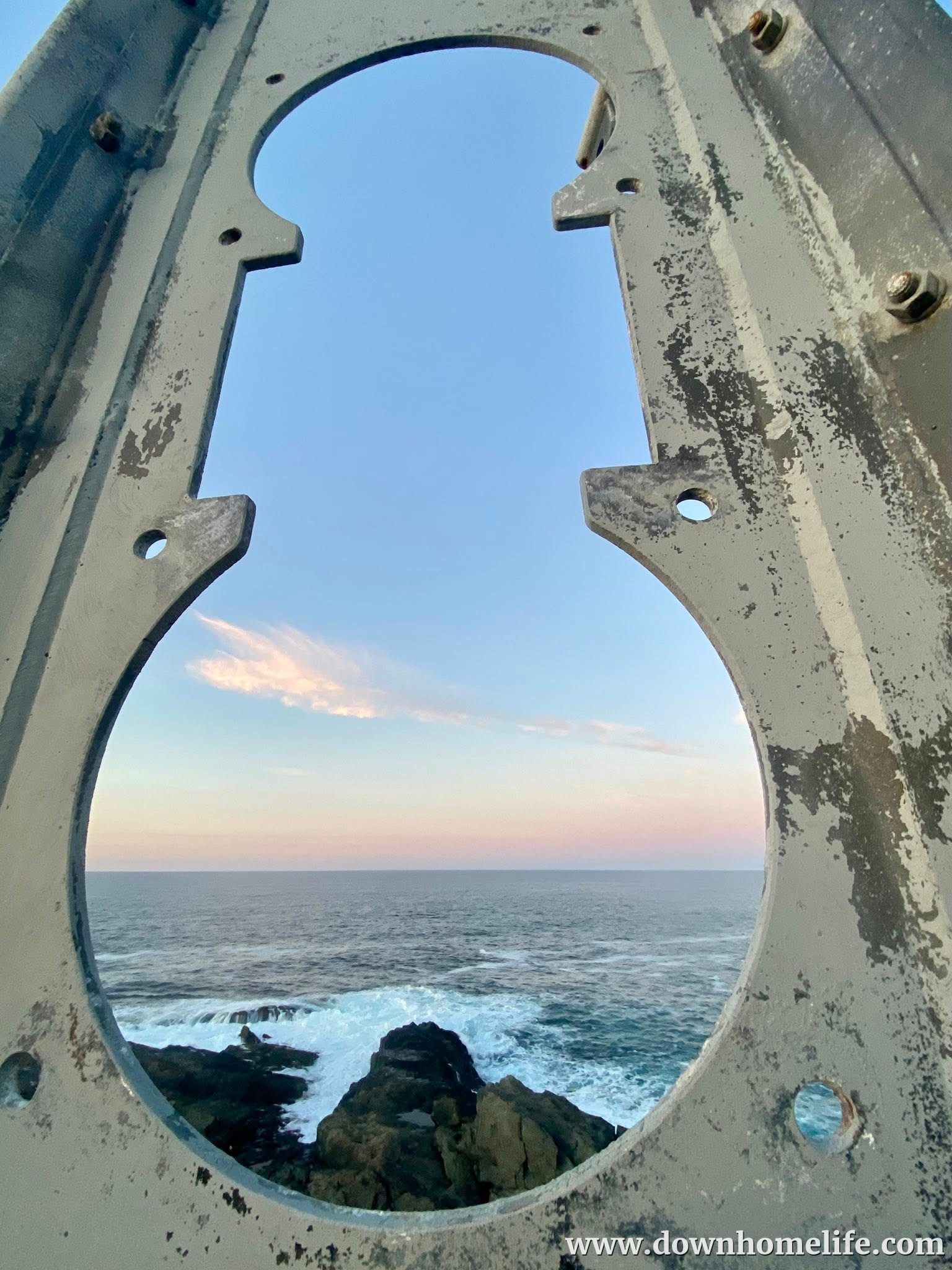 RYU the Bearded Dragon . Jan. 27/26 - Downhome Magazine